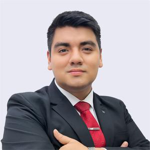 Luis Manuel Marcelo Ramírez Bravo | Udeapolis